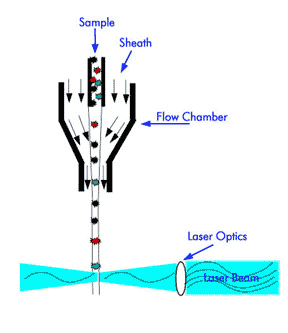 BE0473327336 Product 2